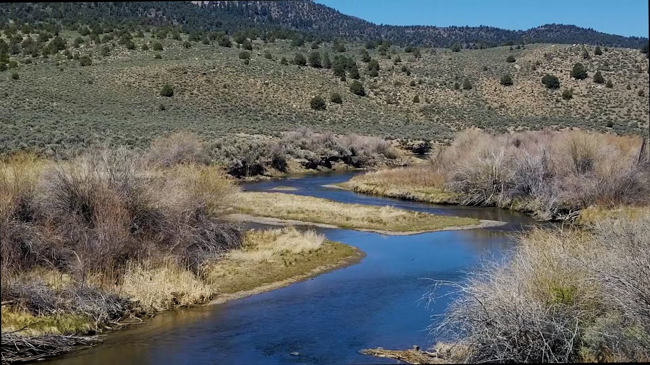 Fly Fishing Report for the East Walker River 6-16-22 - YouTube