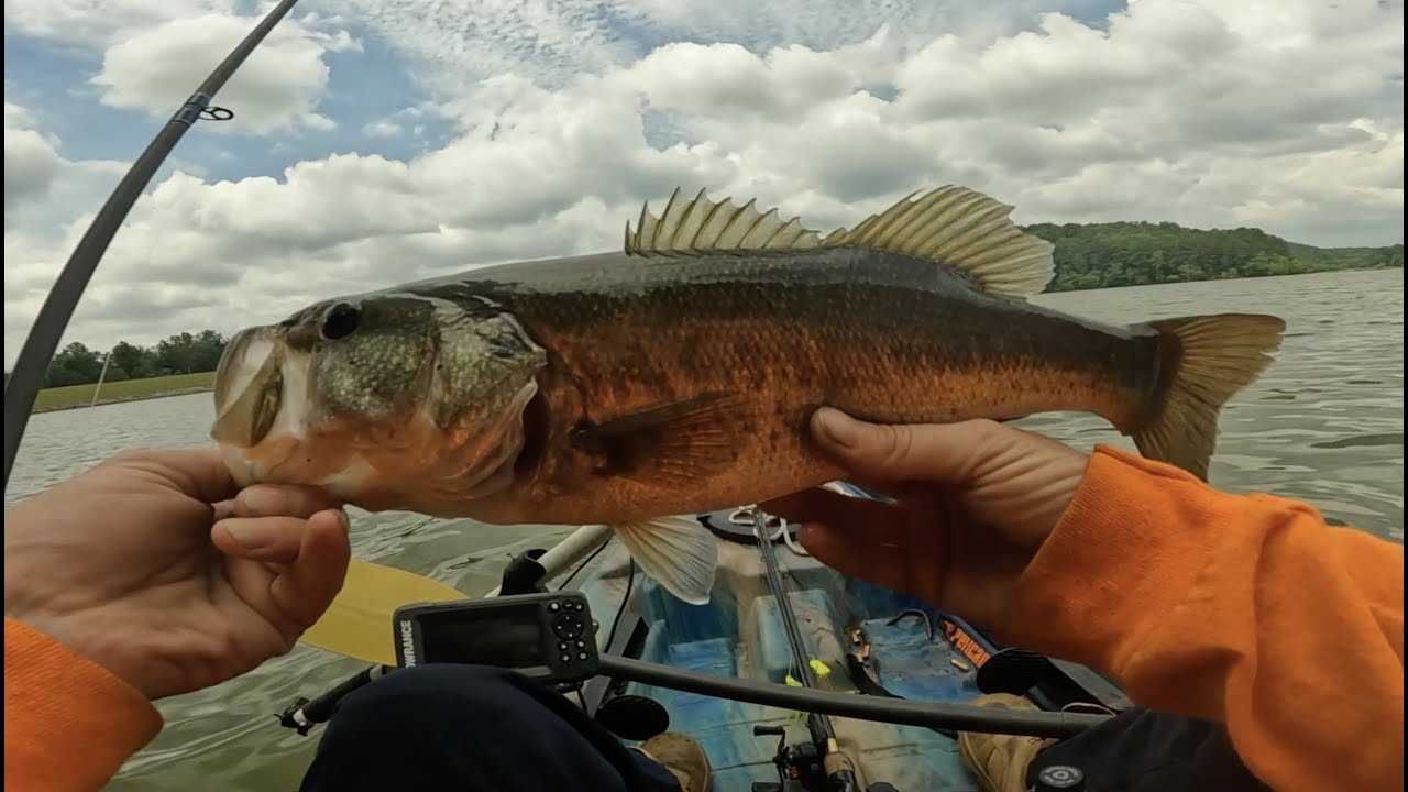 Took bubba fishing(BIG MISTAKE) - YouTube