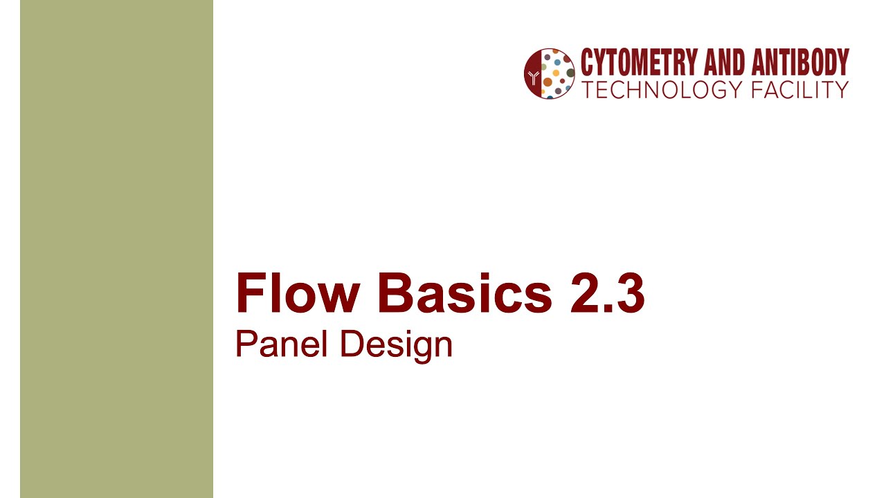 Flow Basics 2.3: Panel Design - YouTube