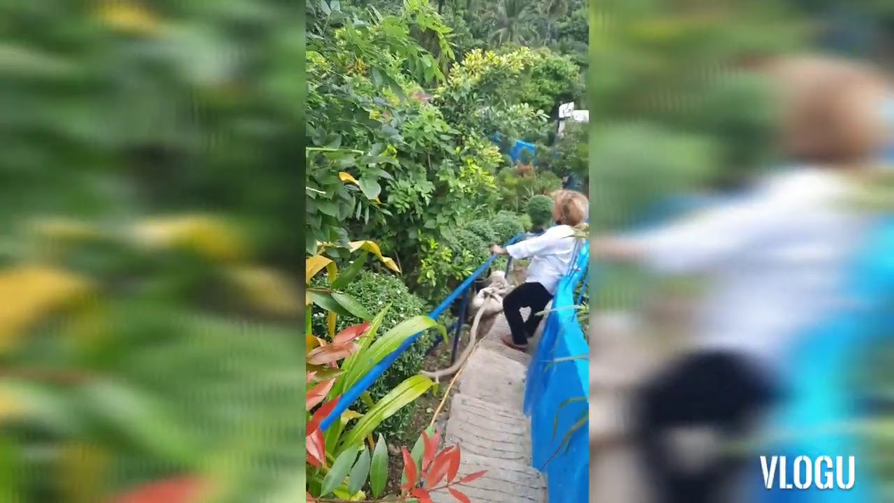 first vlog busay buying plants - YouTube