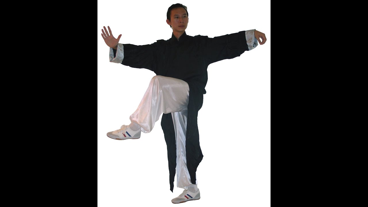 Tai Chi Tutorial Lan Que Wei 揽雀尾 - YouTube