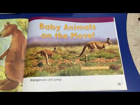 Baby Animals on the Move! Nonfiction Read aloud - YouTube