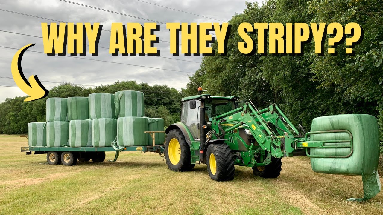 BALE CARTING AND FEEDING BEEF COWS! WHY ARE OUR BALES STRIPY??? | Baldy ...