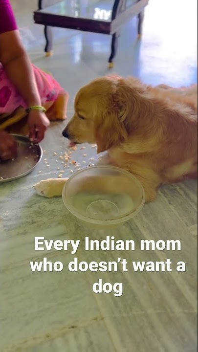 Every Indian mom who doesn’t want dog be like 🐶 ️🌍#shorts # ...