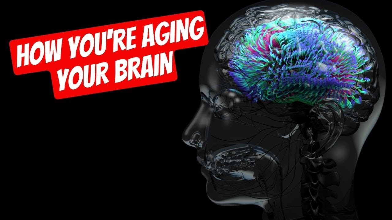 Neuroscientist Explains the Brain Age Gap - YouTube
