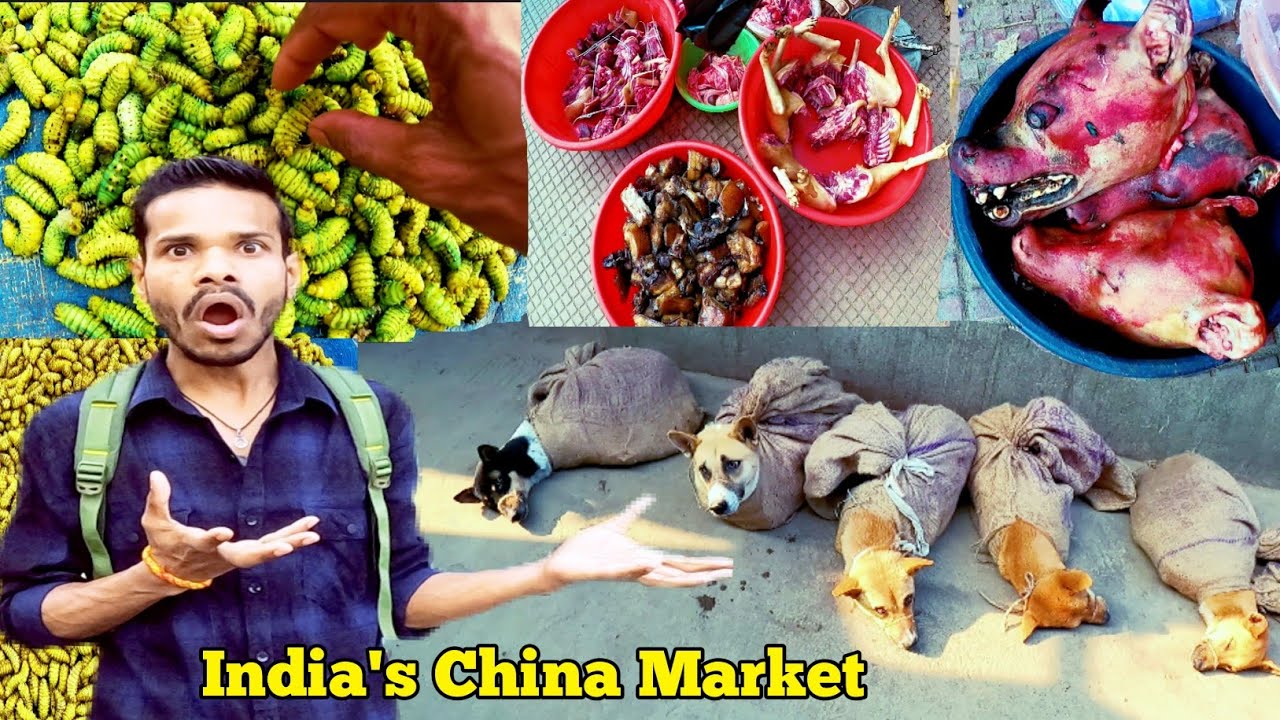 India's China Market | इंडिया का सबसे अजीब मार्केट | Dimapur Super ...