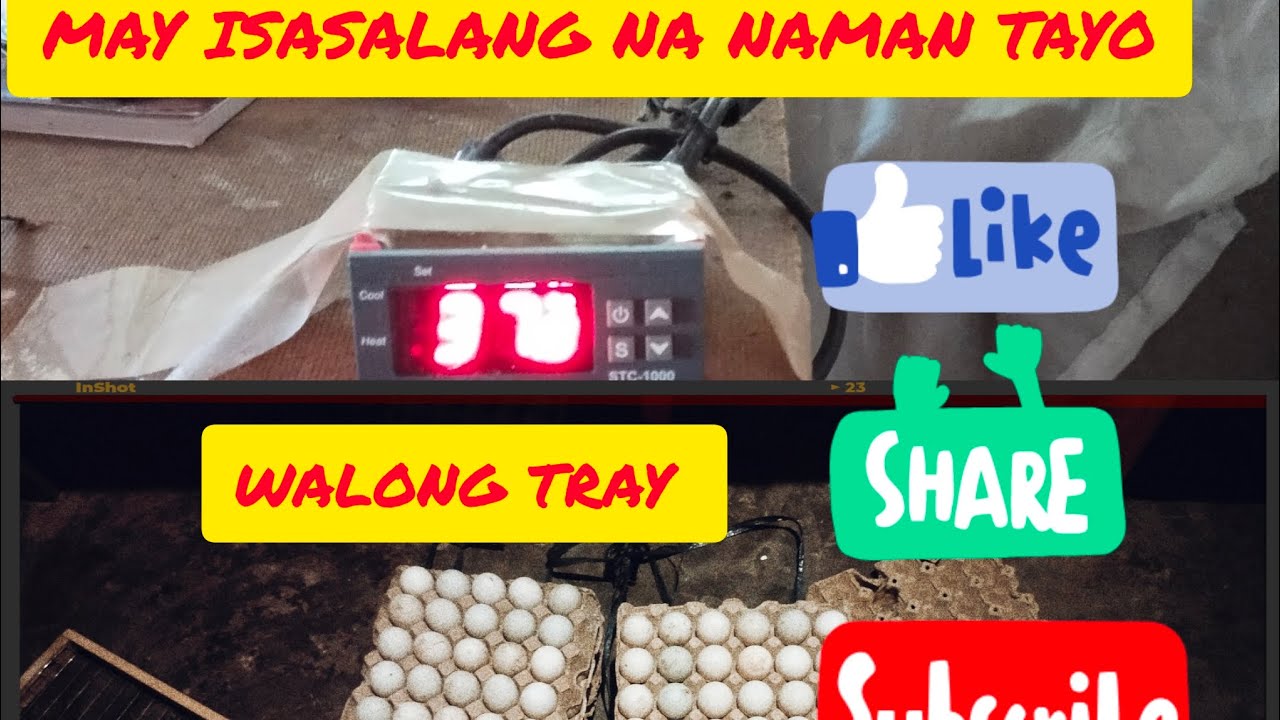 MAGSASALANG TAYO NG ITLOG/GUMAWA TAYO NG EGG TRAY 😉😉😉 - YouTube