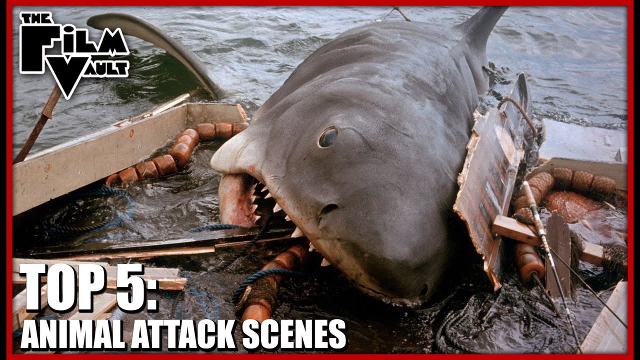 Top 5: Animal Attack Scenes | The Film Vault - YouTube