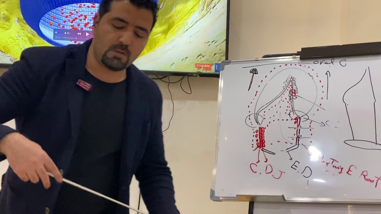 Root formation2 - YouTube