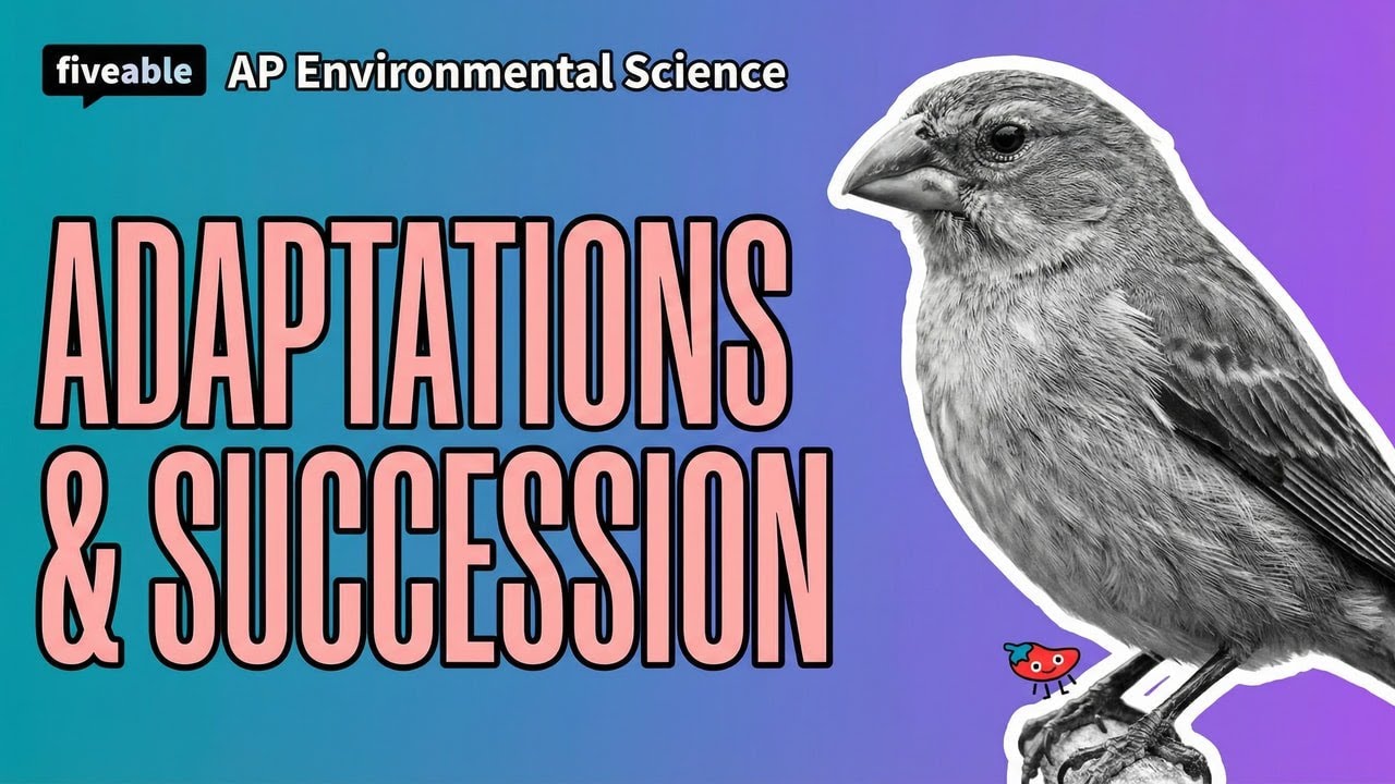 AP Environmental Science - Adaptations & Succession | Fiveable Cram Archive