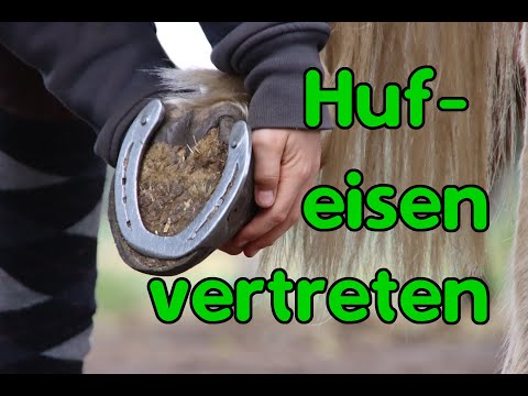 Hainbuche Giftig Fr Pferde