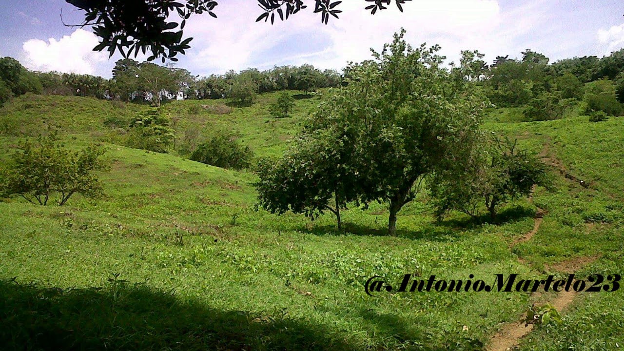 Atarraya - Super Banda de Colomboy / Cordoba. - YouTube