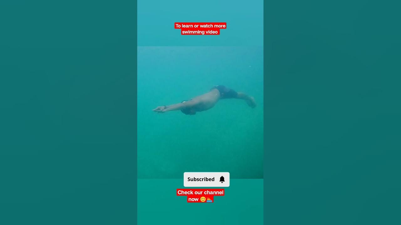 Swimming Like Dolphin In Dark Deep Water - Swimming Tips For Beginners ...