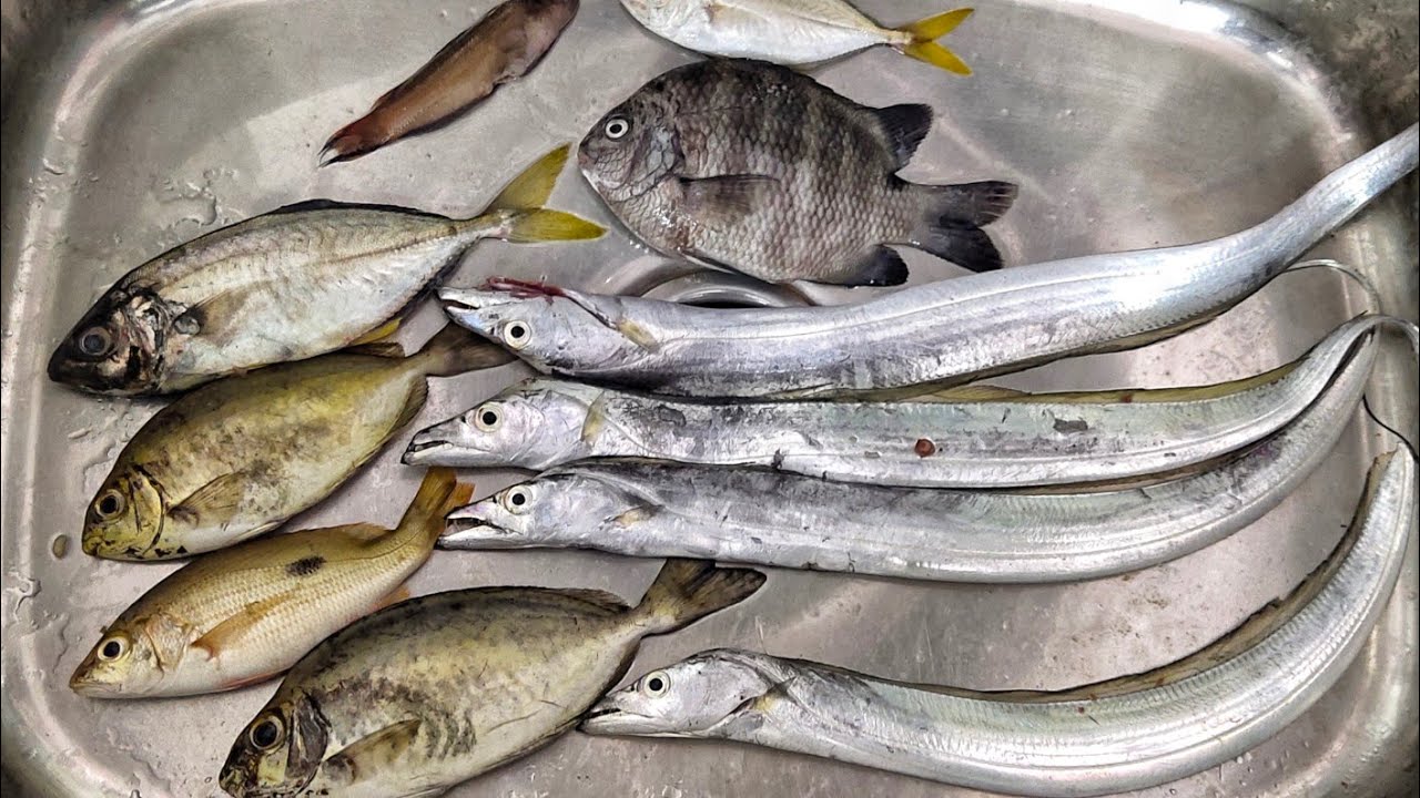 How to Catch Fish Easily On Pole Rod. Best Fishing Trick - YouTube