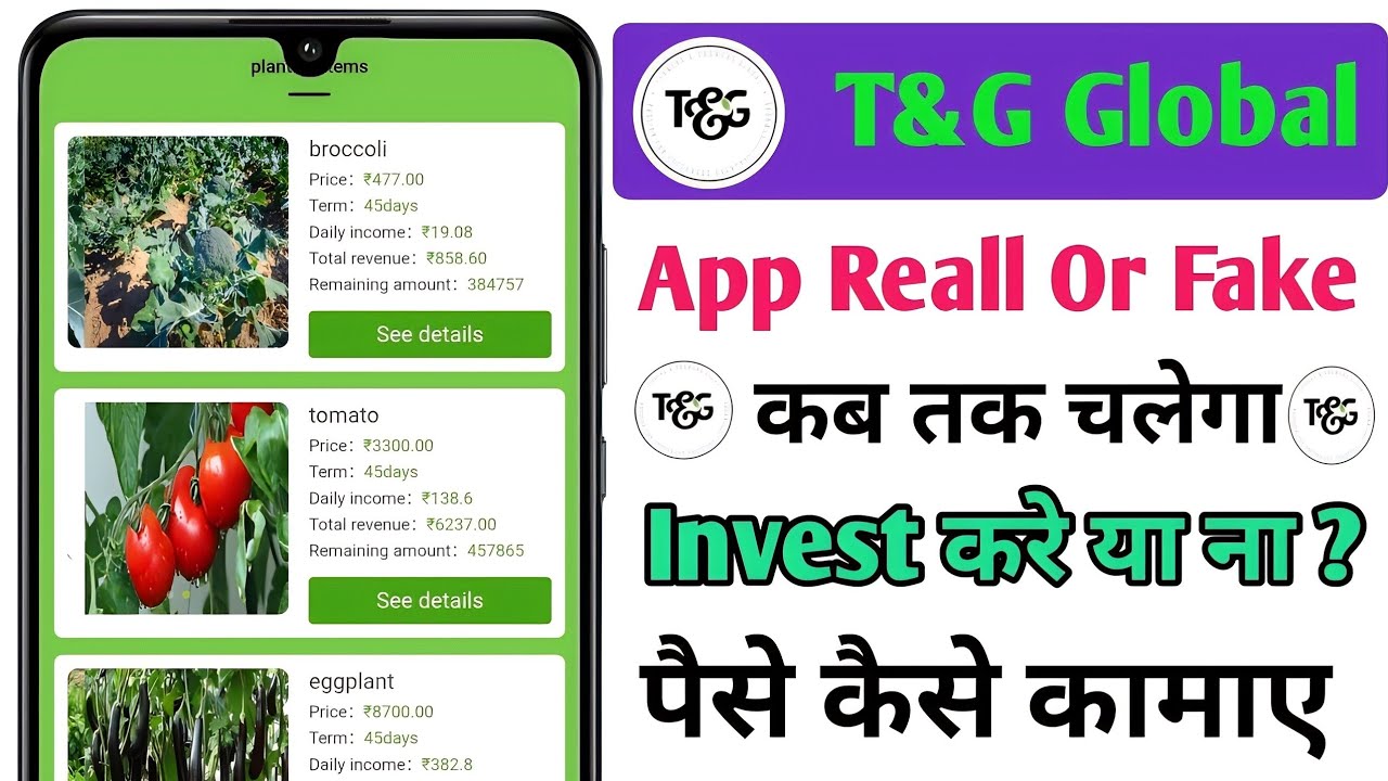 T&G Global App New Update 😱 || T&G Global App real or fake || Full ...
