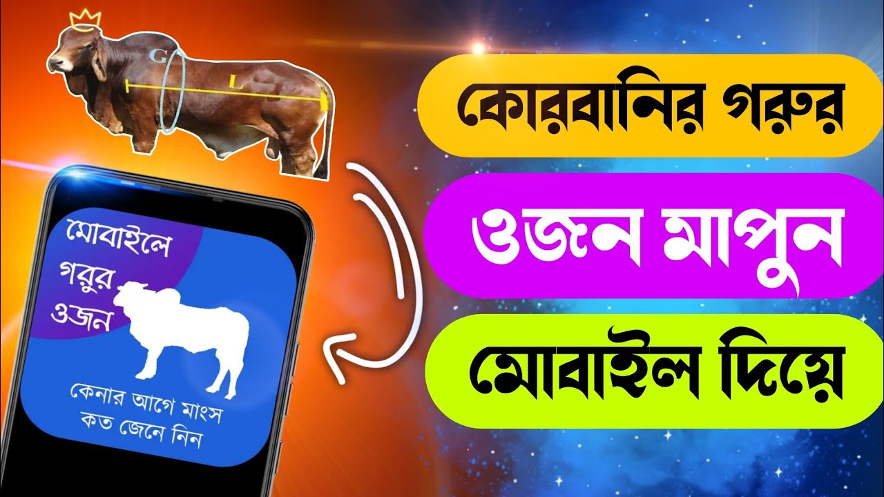 ৩০ সেকেন্ডে কোরবানির গরুর ওজন মাপুন । qurbani gorur ojon mapar app ...