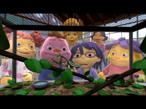 Sid the Science Kid - Sid's Pet Project - YouTube