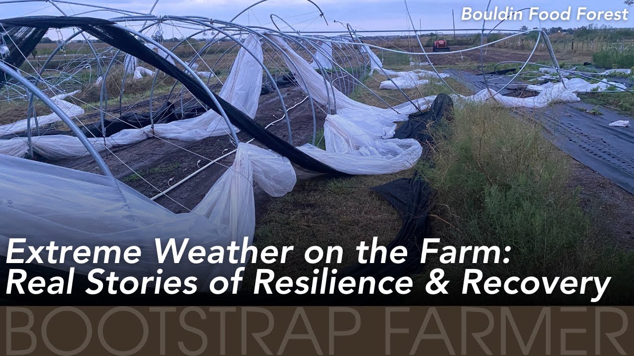 When Disaster Strikes: Real Stories of Farm Resilience & Recovery - YouTube