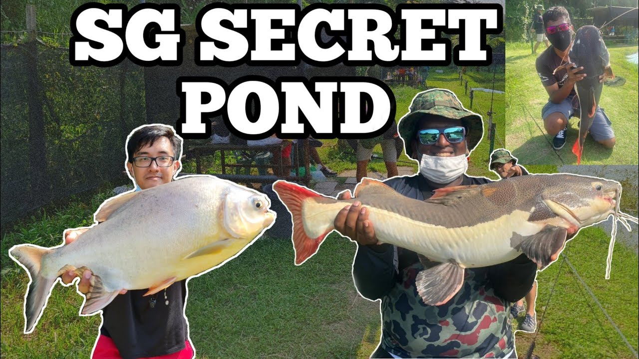 FISHING AT SP1 (INSANE BITE RATE) - YouTube