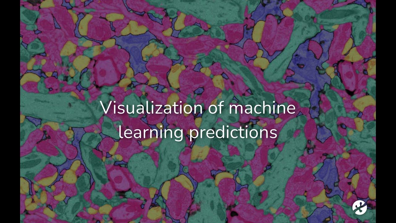 Visualization of machine learning predictions - YouTube