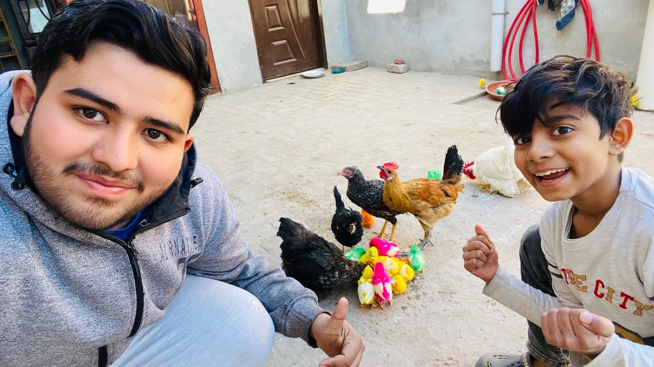 Hum laye cute cute hen baby🐥||bhot sare🐥 #vrilvideo #cutefishos # ...