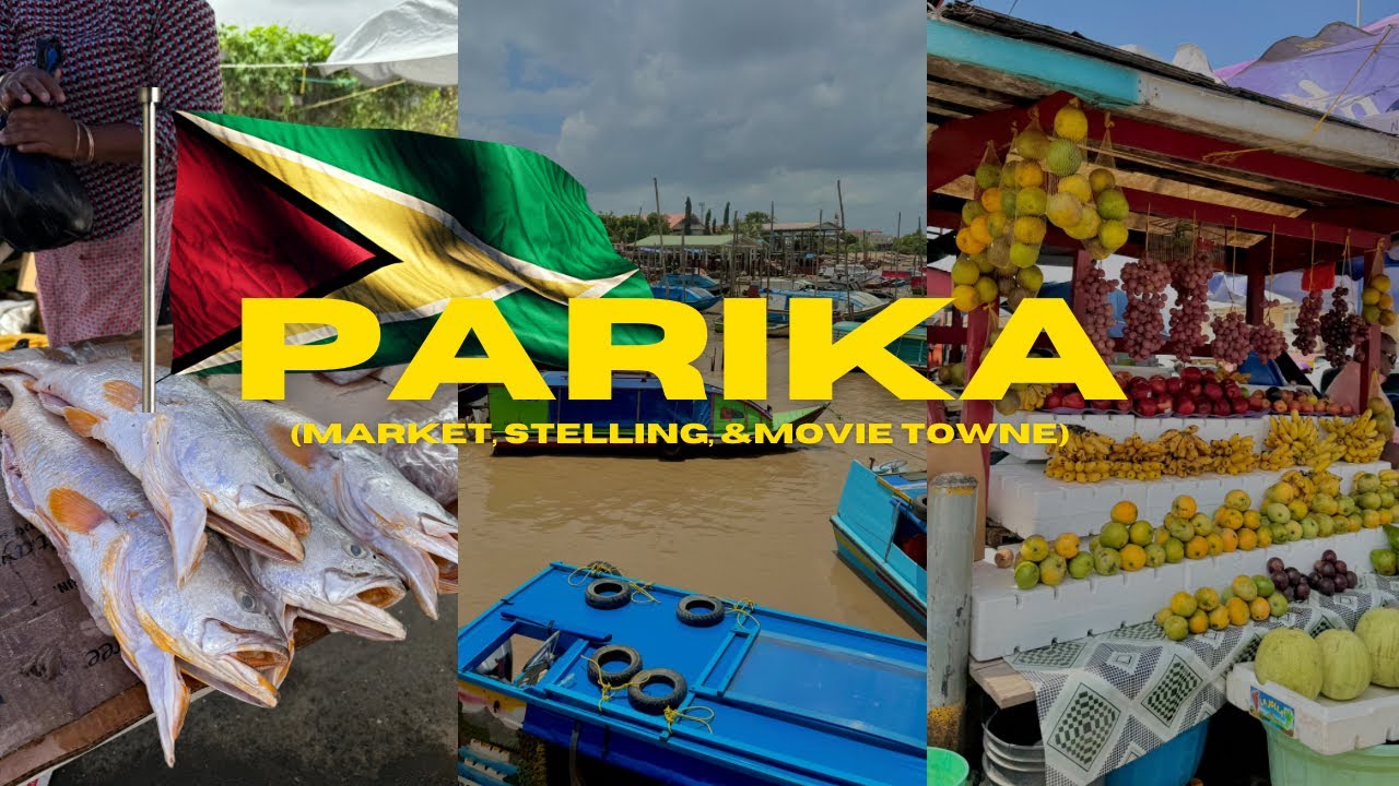 PARIKA Market Shopping Vlog | PARIKA STELLING | BACK 2 GUYANA SERIES | Episode 2 - YouTube