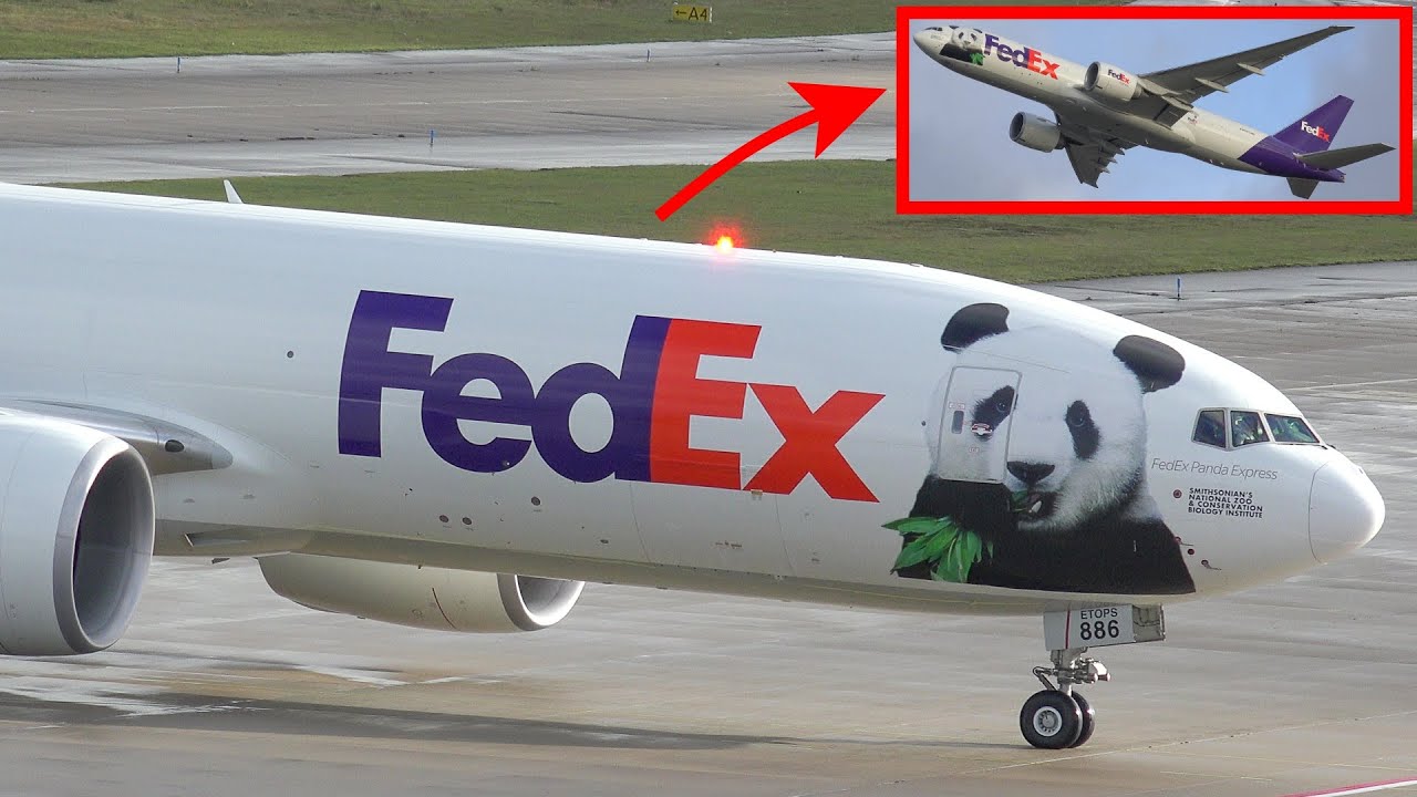 [PANDA EXPRESS LIVERY!] - FedEx Boeing 777-F landing & takeoff at ...
