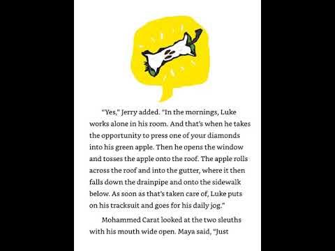 The Diamond Mystery Chapter 8 - YouTube