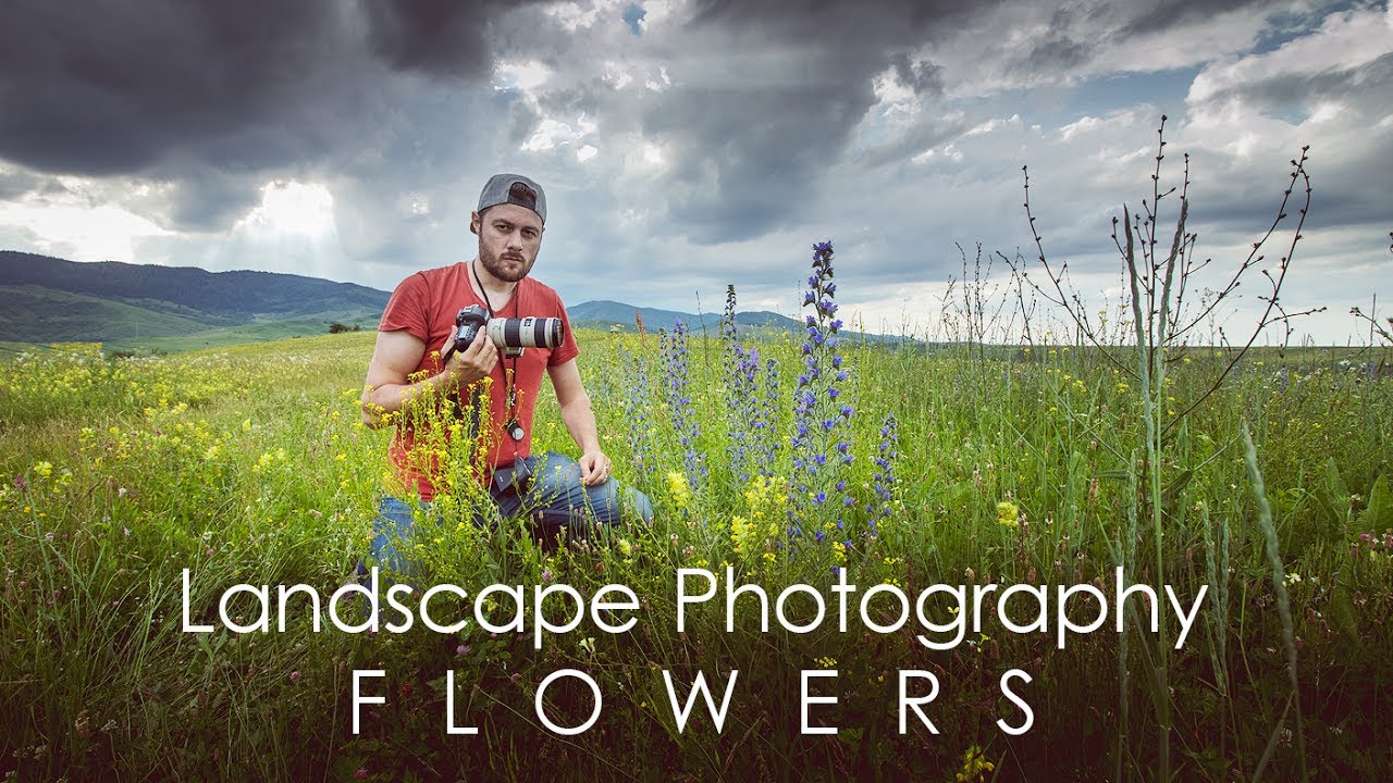 Tips for Photographing Summer Flowers | Landscape Photography - YouTube