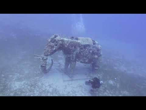 220818 Lighthouse, Dahab, Egypt [Orca Dive] - YouTube