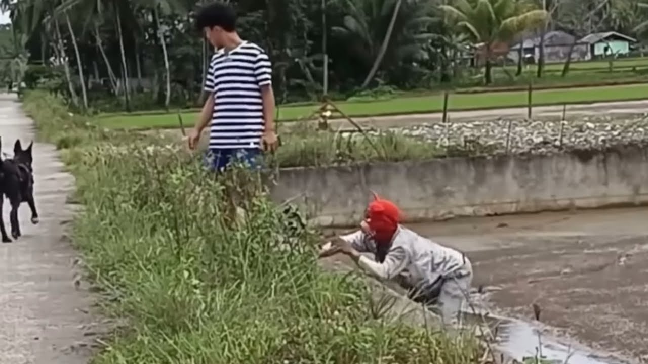 Funny Compilation #70 | Scare Cam Pranks 2024 | Funny Scare Prank ...