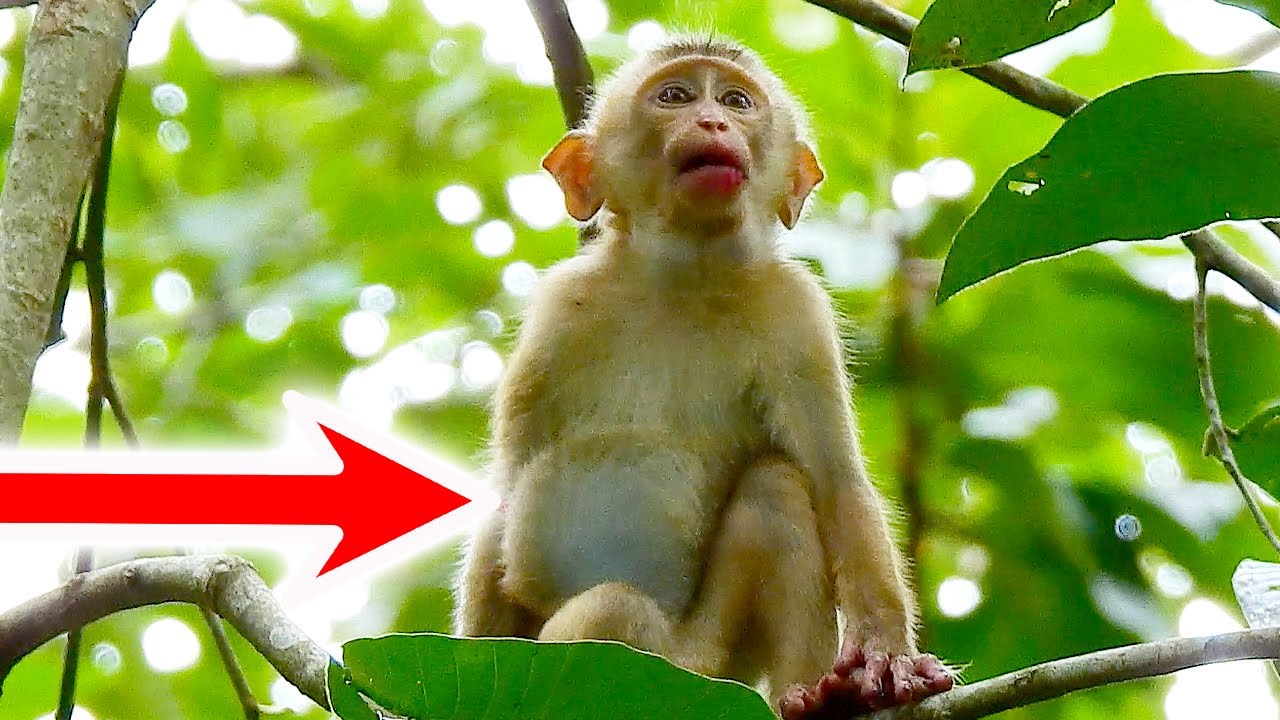 What happen on Linda do you see like me? let me check tomorrow - YouTube