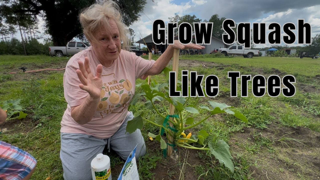 Squash Tree Gardening Hack You’ll Love - YouTube