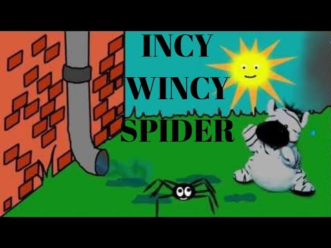 Incy Wincy Spider Nursery Rhyme -Cartoon Animation Rhymes& Song - YouTube