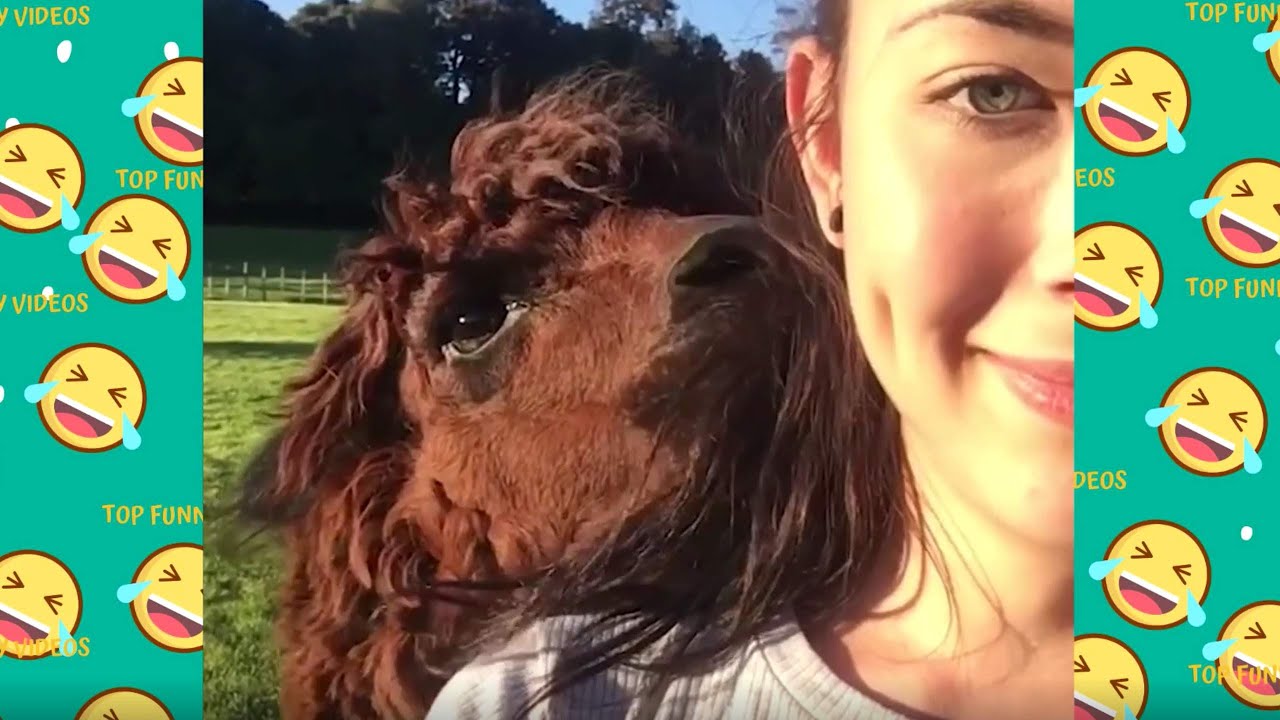 GIRL FAILS COMPILATION || FUNNY VIDEOS 😂 || CUTE GIRLS - YouTube