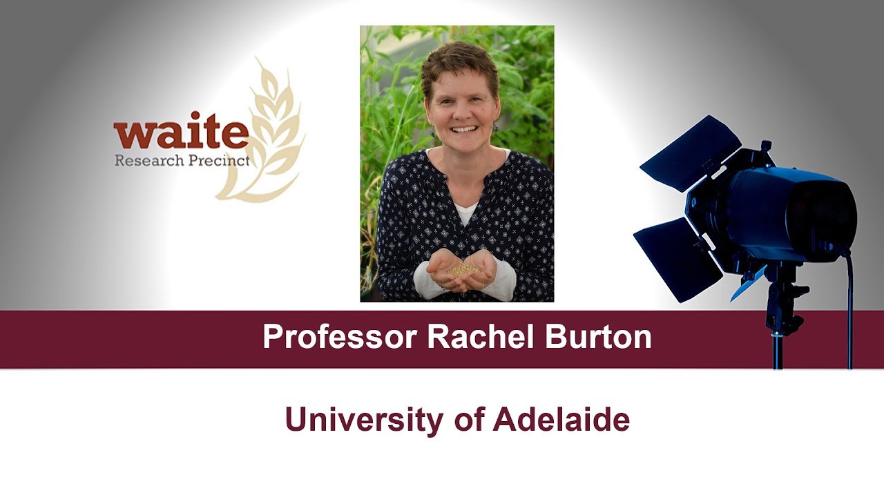 GutWoman's guide to healthy insides - Professor Rachel Burton, The ...