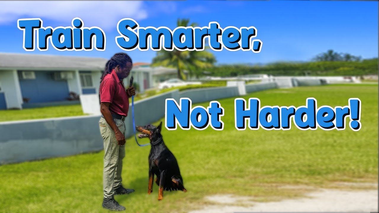 Dog Training Explained: The 4 Quadrants of Operant Conditioning - YouTube