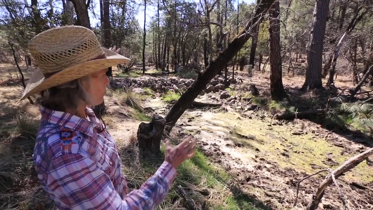 Valer Clark explains wetland restoration - YouTube