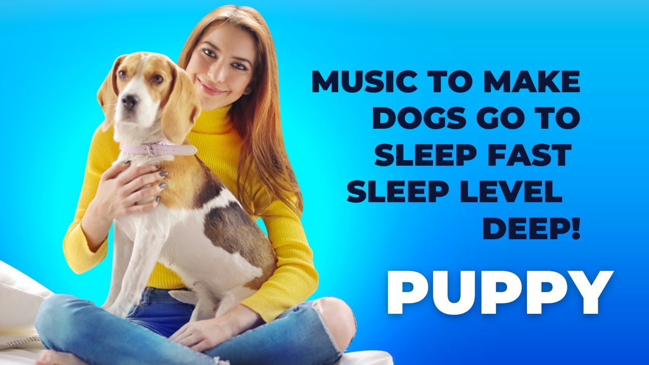 Music To Make Dogs Go To Sleep Fast Sleep Level DEEP puppy Music To Make Dogs Go To Sleep Fast Sleep Level DEEP puppy
