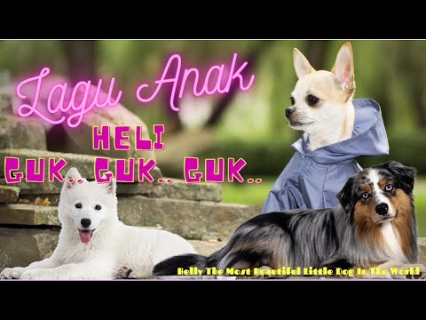Heli - Anjing Kecil | Lagu Anak Indonesia Populer | Helly The Most ...
