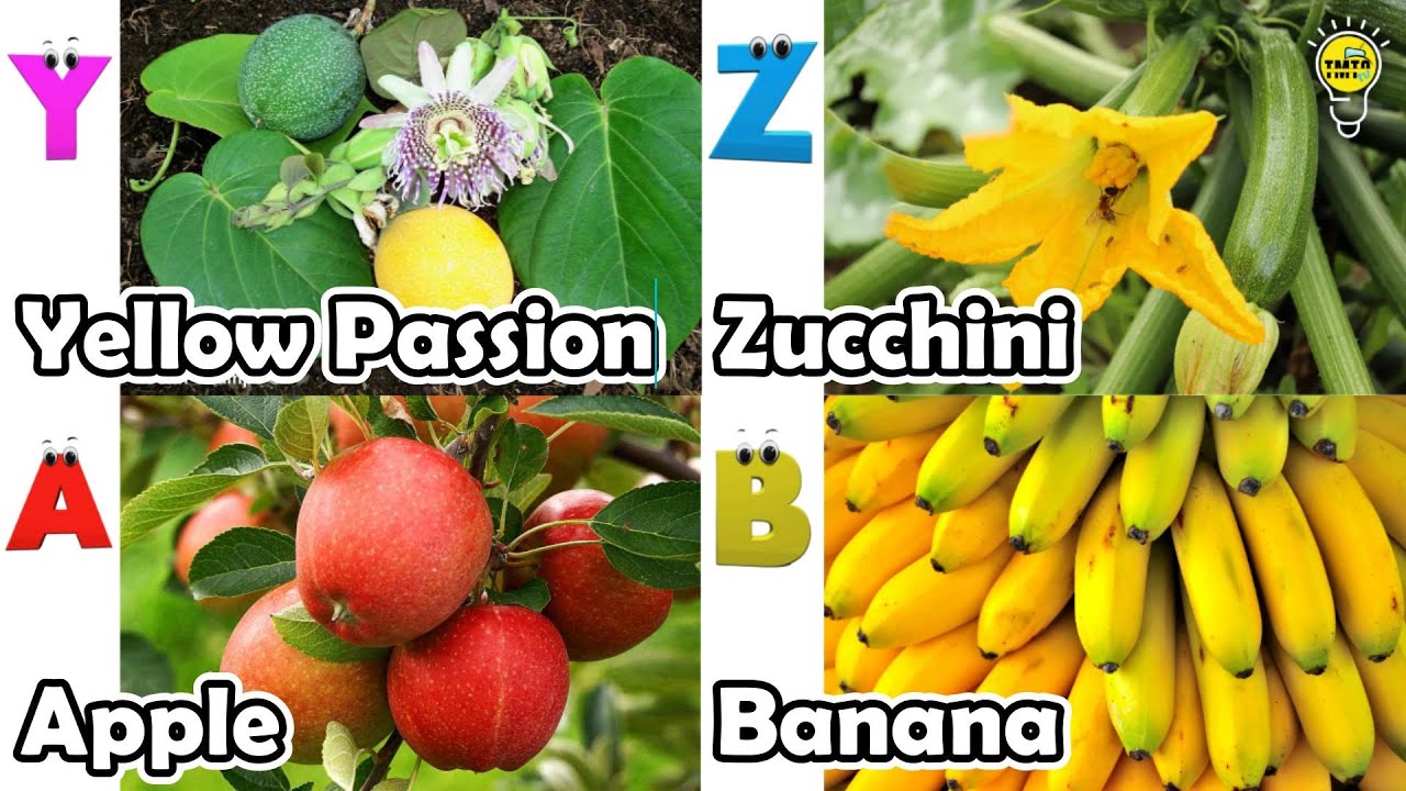 Fruits Alphabet song for Children | Fruit ABC Song | Phonics for Kids ...