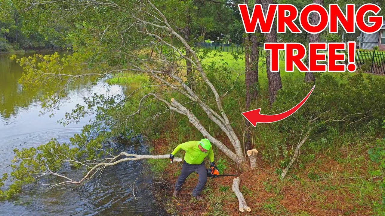 I Cut Down The WRONG TREE & Client Immediately STOPPED Talking To Me ...