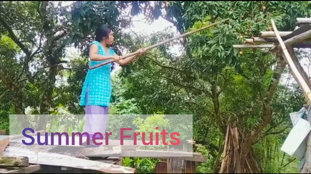 Satung jora ne bwthai(Summer fruits)||Mango,litchi||#tripura# ...