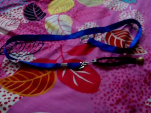 homemade harness for parrot - YouTube