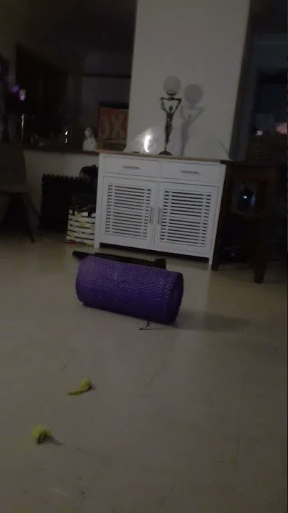 AUSTRALIAN HOUSING MOVED US TO A SAFE HOME @djpamelamc #australianhousing #vloglife #safetyfirst ...