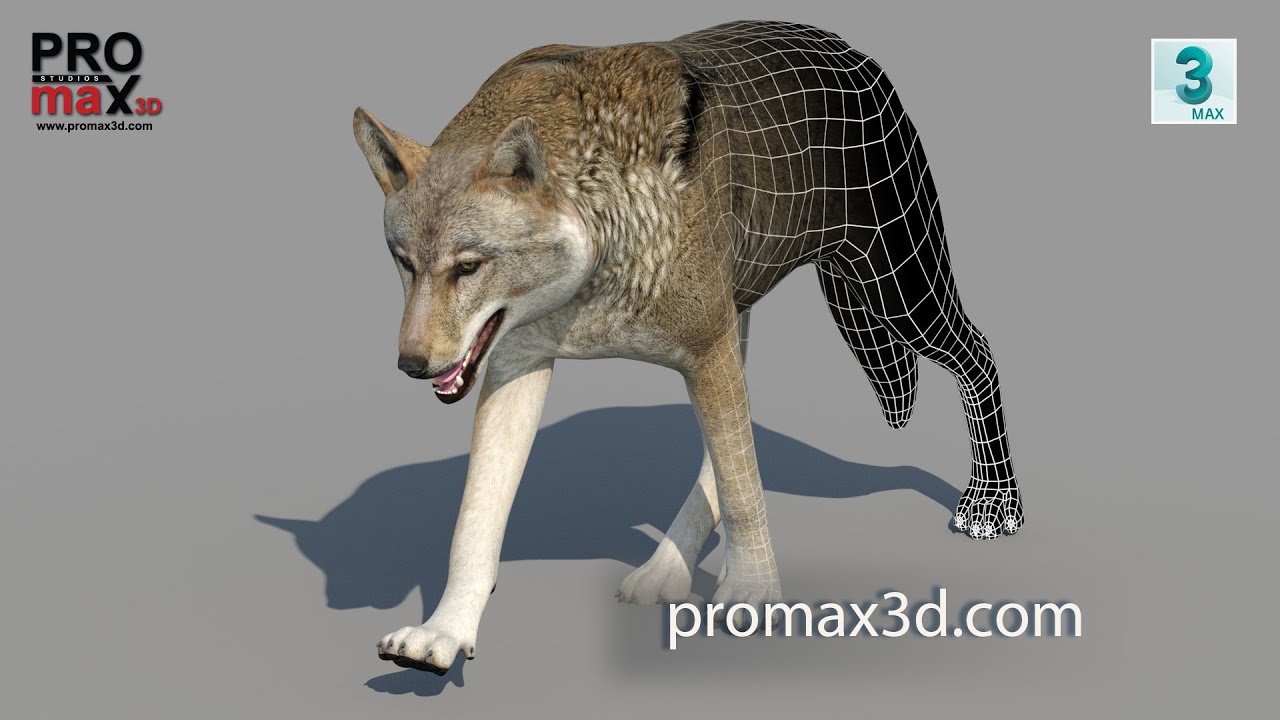 Animated Red Wolf 3D Model – High-Quality Rigged & Animated for Games ...