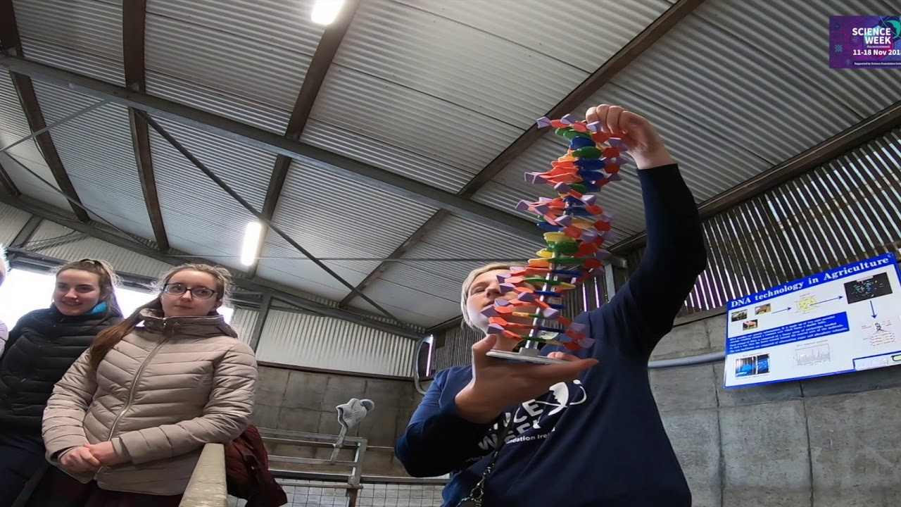Science Week 2018 - Teagasc Athenry - YouTube