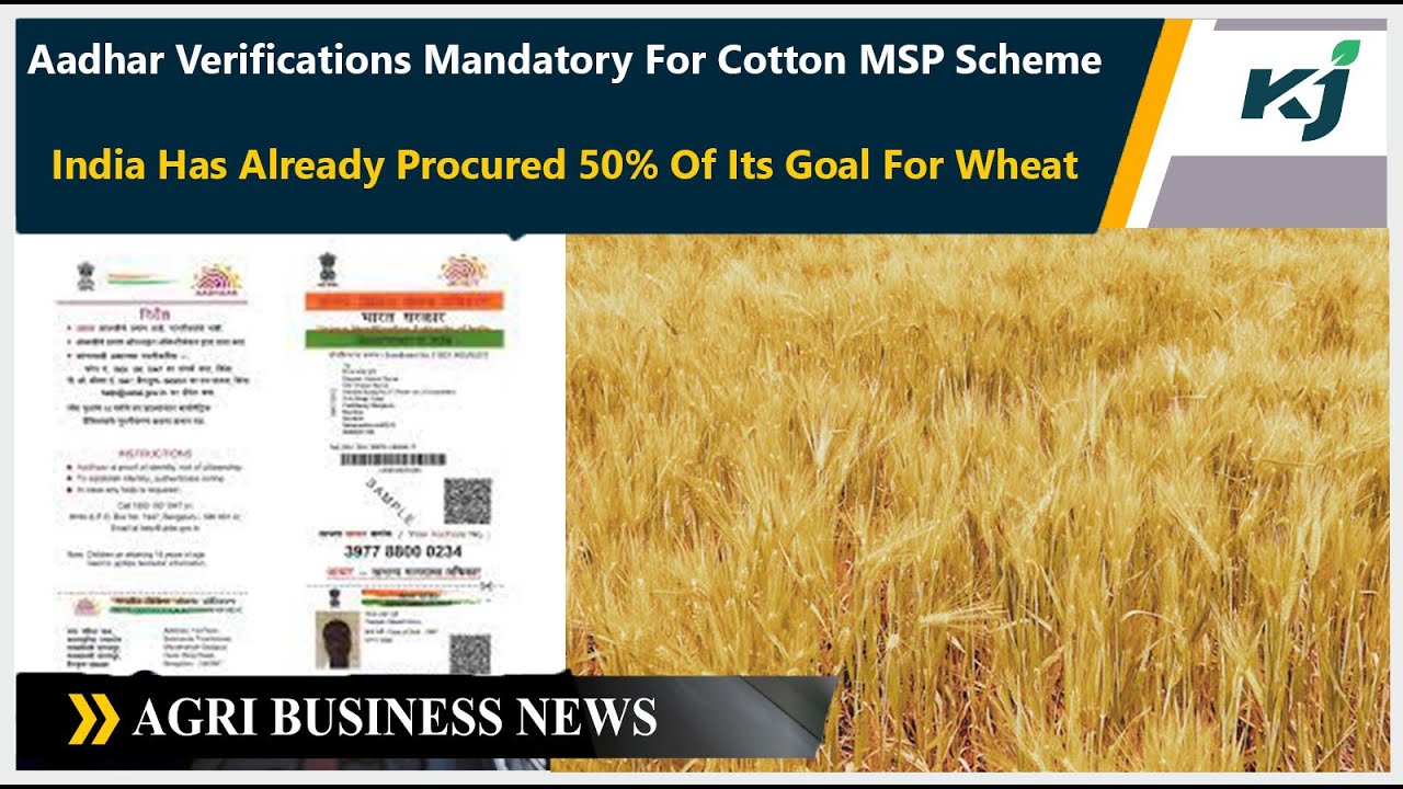 Aadhar Verifications Mandatory For Cotton MSP Scheme - YouTube
