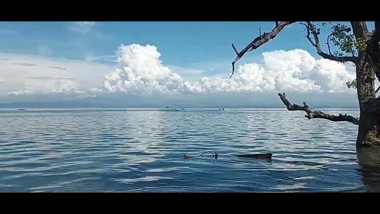 BANGKARERA FINAL ROUND - YouTube