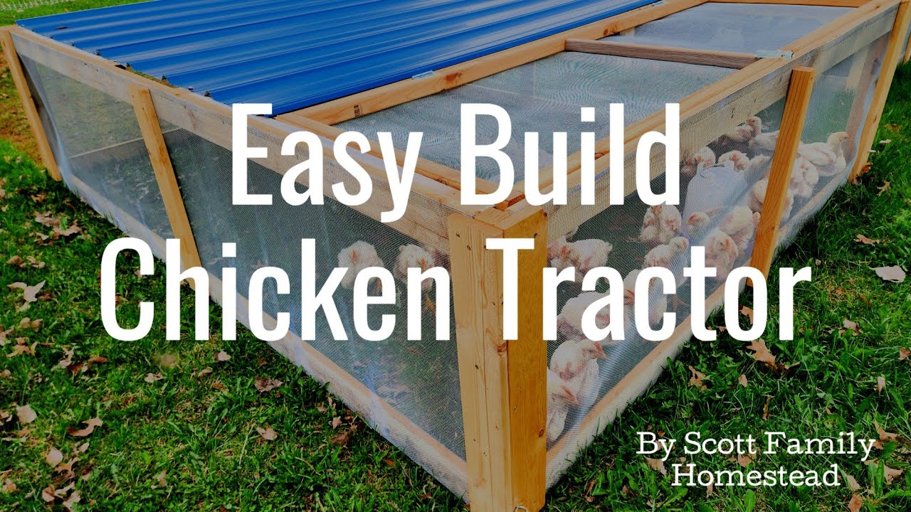 DIY Chicken Tractor: Your Ultimate Guide to Raising Meat Chickens and ...